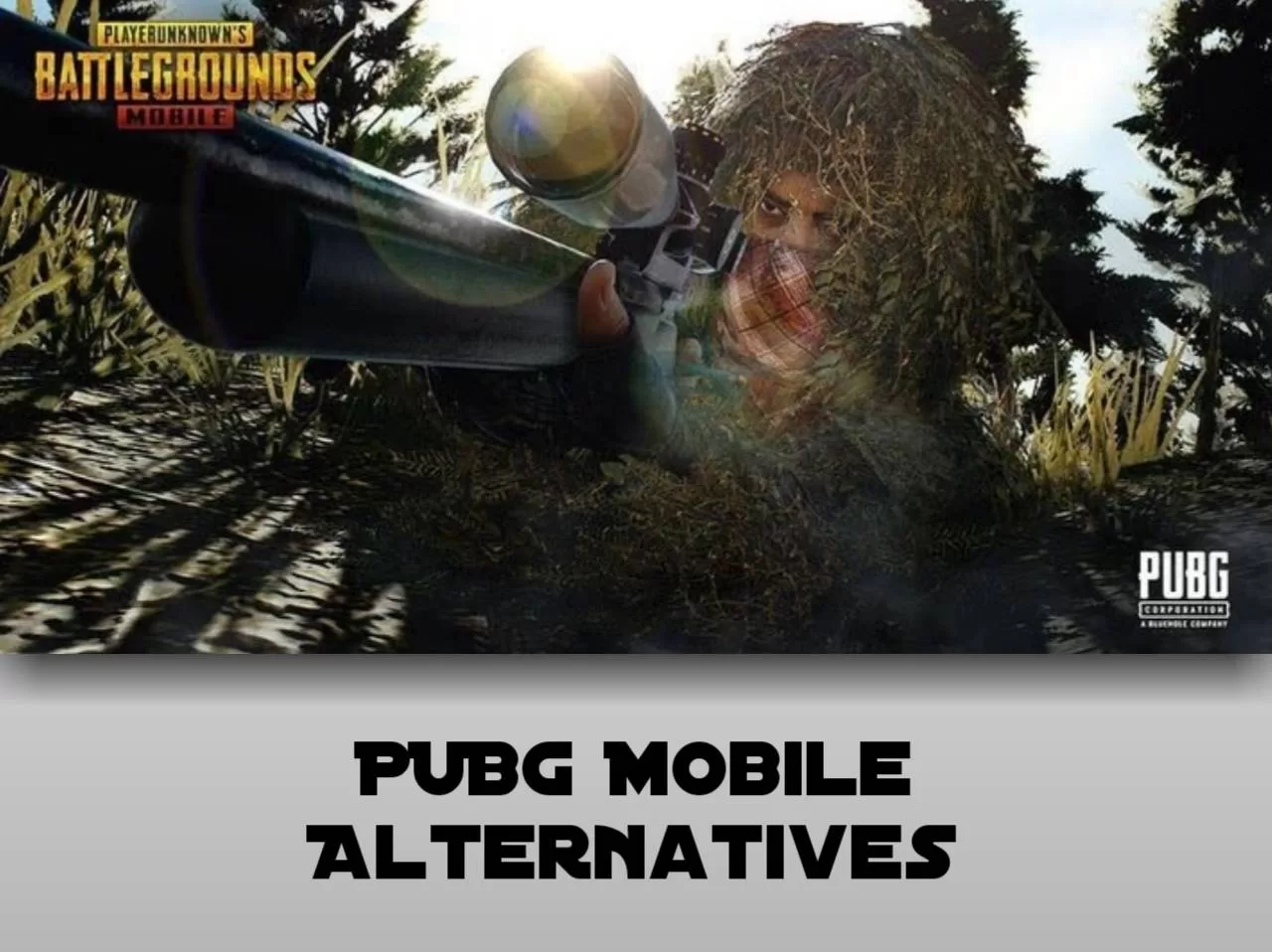 Top 10 Similar Type of Games Like PUBG Mobile: PUBG Alternative ...